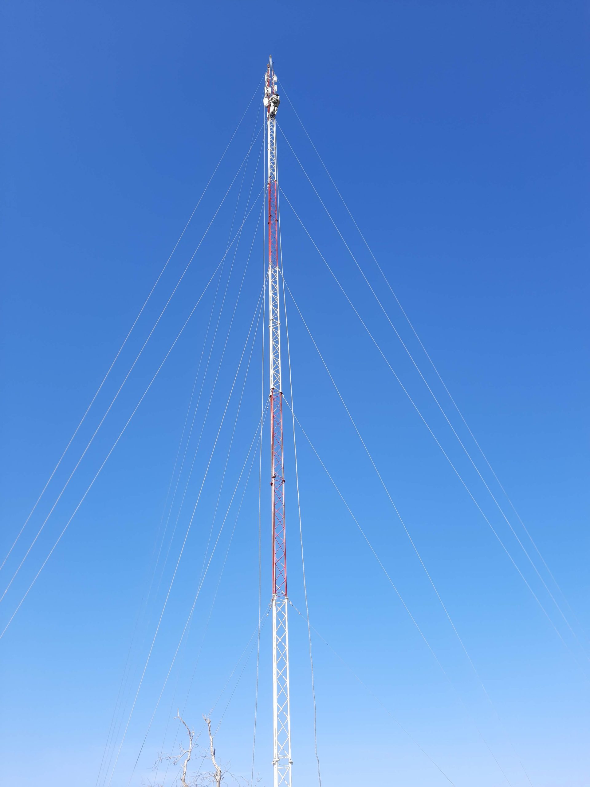 Picture Gallery – Starlink